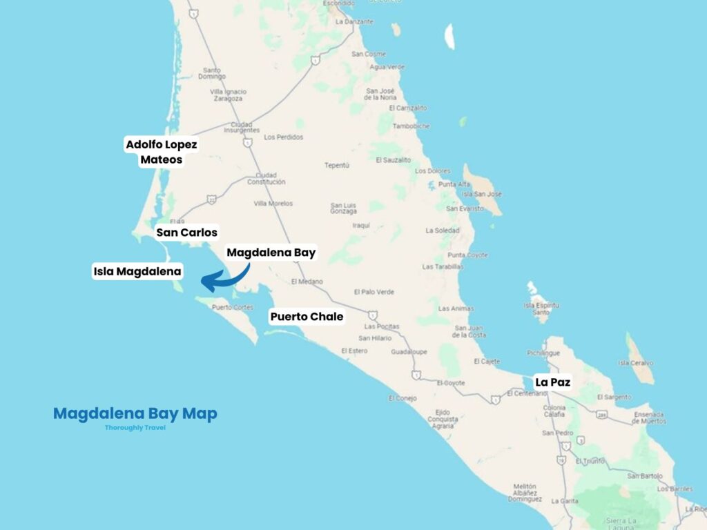 A Complete Guide to Magdalena Bay Mexico (2025)