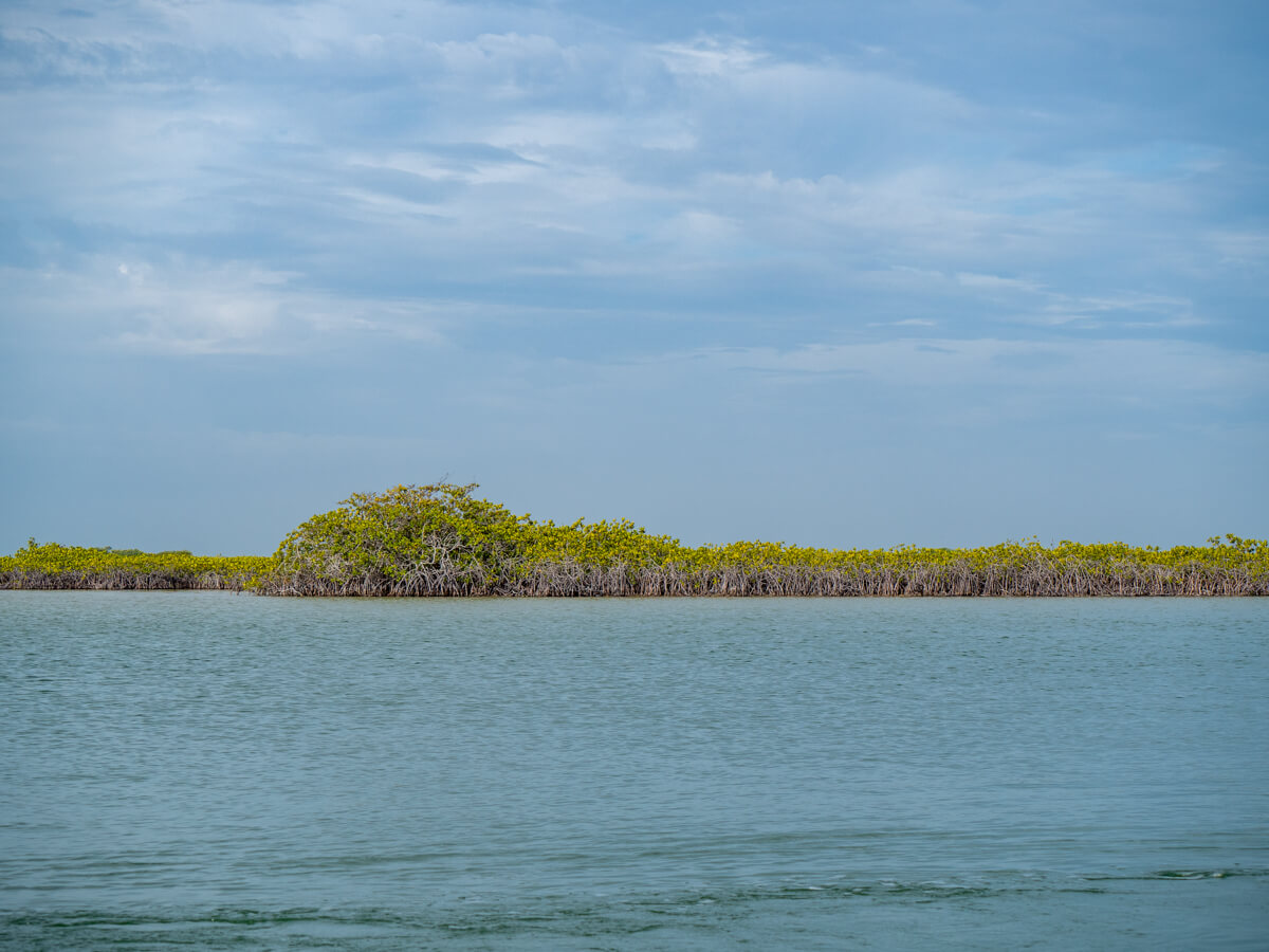 How to Visit Sian Ka'an Biosphere Reserve: Complete Guide