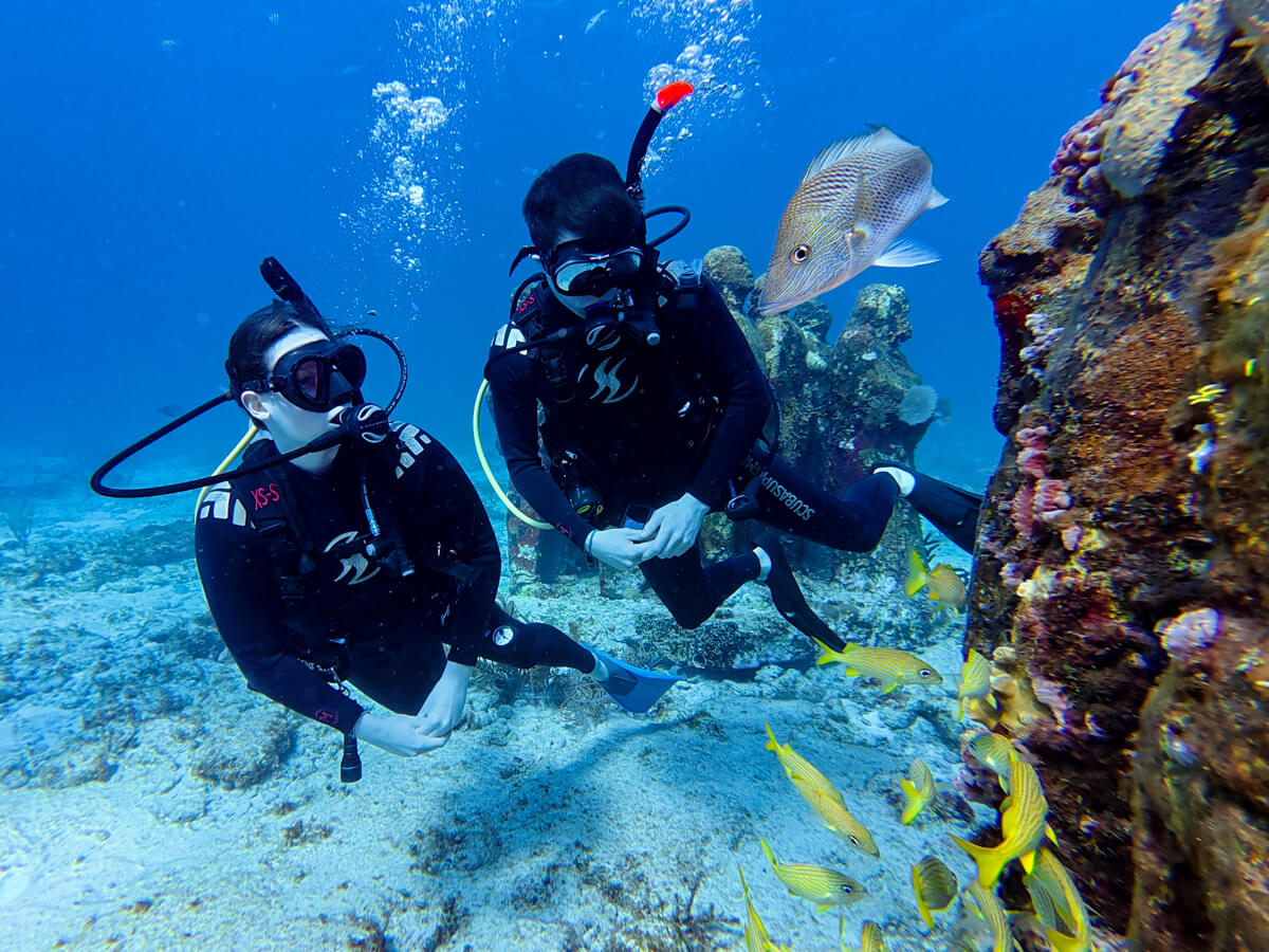 How to Visit the MUSA Underwater Museum: Snorkel vs Dive
