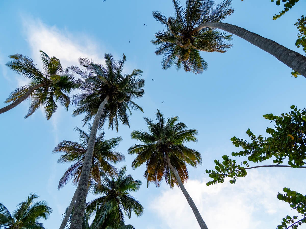 16 Best National Parks in Belize: Marine + Inland Reserves