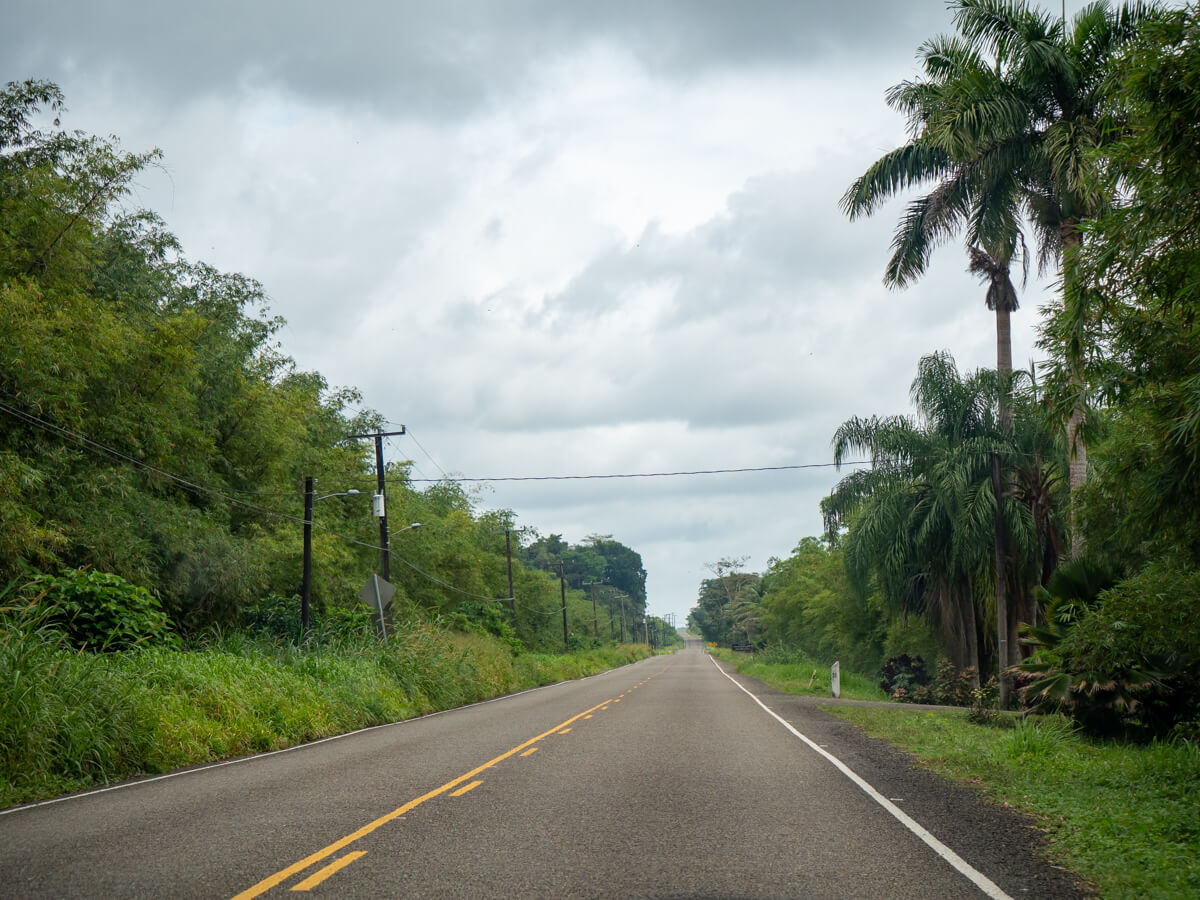Complete Guide to Driving the Scenic Hummingbird Highway